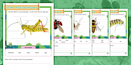Minibeast Early Writing Activity - Minibeast Activities