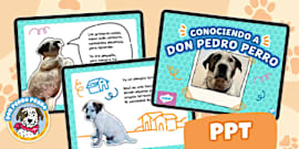 Imagimap: Necesidades y cuidados de las mascotas