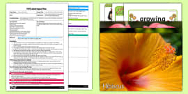 Plants and Flowers Mind Map Starter Resource Pack - Twinkl