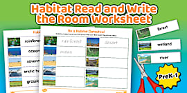 Animals Read and Write the Room Worksheet (Teacher-Made)