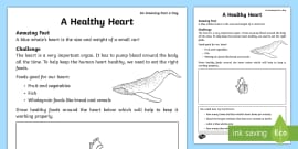 Circulatory System Reading Comprehension Worksheets | Twinkl