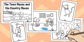 The Town Mouse and the Country Mouse Differentiated Reading Comprehension