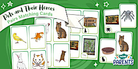 Preschool: Pets: Threading Cards