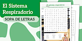 Sopa de letras: El corazón | Recursos Educativos Twinkl