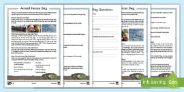 KS1 Armed Forces Day Differentiated Reading Comprehension Activity