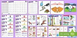 Phonics t - Primary Resources (teacher made)
