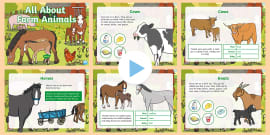FREE! - Farm Animals What Am I Interative Game PowerPoint