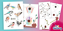British Birds KS1 | Resource Pack | Primary Teaching