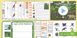 FREE! - Kindergarten School Closure Take-Home Activity Packet