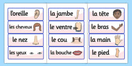 French Animal Vocabulary | Animal Names in French Word Cards