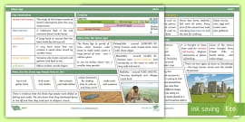 History Knowledge Organiser: Romans LKS2 (Teacher-Made)