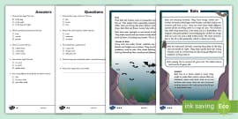 Rat Reading Comprehension Worksheet / Worksheet