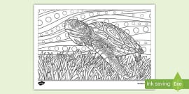 World Map Mindfulness Colouring Page,Mindfulness - Twinkl