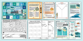 Drought Survival Activity | Drought Worksheet | Twinkl
