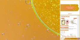 Cell Structure Word Mat - Cell Structure Poster - Twinkl