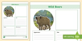 Camel Fact File Template (teacher made) - Twinkl