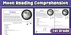 First Grade Penguins Reading Comprehension Worksheet