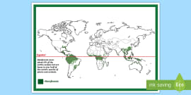 The Effects of Deforestation in The Amazon Rainforest Writing Worksheet