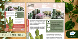 KS2 Cactus Fact File (teacher made) - Twinkl