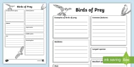 Birds of Prey Quiz (teacher made) - Twinkl