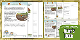 SATs Reading Comprehension Practice KS2 Pack | Year 6