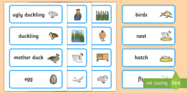 The Ugly Duckling Story Sequencing Colour (A4)