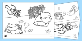 The Little Fish Colouring Sheets (teacher made) - Twinkl
