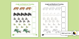 FREE! - My Counting Worksheet (Jungle & Rainforest)
