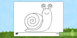 Parts of a Snail Worksheet / Worksheet (teacher made)