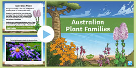 Western Australian Native Plants PowerPoint (teacher made)