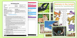EYFS Maths: Jungle Animals Matching Numeral and Quantity Whole Class Adult