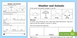 Animals Worksheet for Kids - Primary School Resources