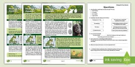 The History of LEGO Reading Comprehension (teacher made)