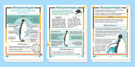 Penguin Lapbook Pack