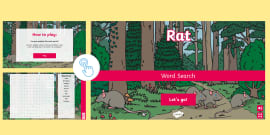 The Ear and Hearing Interactive Word Search (teacher made)