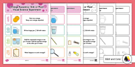 Floating Egg Visual Science Experiment (Lehrer gemacht)