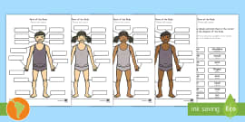 Las partes del cuerpo My Body Parts Worksheet / Worksheet Spanish