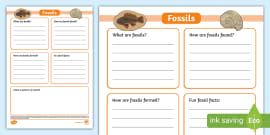 All About Fossils Early Writing Activity (teacher made)