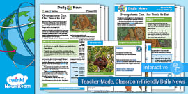 Describe the Orangutan Writing Activity,orangutan,orangutans