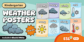 Weather Display Poster