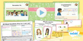 Cover Lesson: Hair and Eye Colour Lesson Pack French