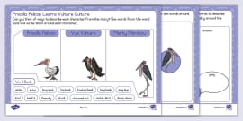Priscilla Pelican learns Vulture Culture: Reading Comprehension