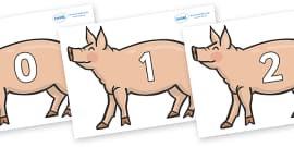 Numbers 0-31 on Little Pig (teacher made) - Twinkl