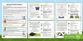 Minibeast Songs and Rhymes Resource Pack (teacher made)