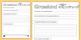 Grassland Biome PowerPoint & Google Slides for 3rd-5th Grade