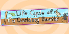 FREE! - 👉 Milestones In Our Life Display Banner