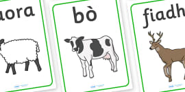 Scottish Gaelic Number Display Posters (teacher made)