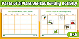Plant Parts We Eat Sorting Activity