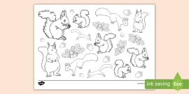 Squirrel and Acorn Counting Game (teacher made) - Twinkl