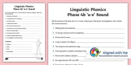 ture & sure Sound Worksheet - NI Phase 4b Phonics